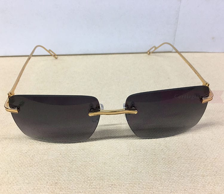 Cartier Sunglasses Eyeglasses Classic C Decor Metal Rimless CT01131 ...